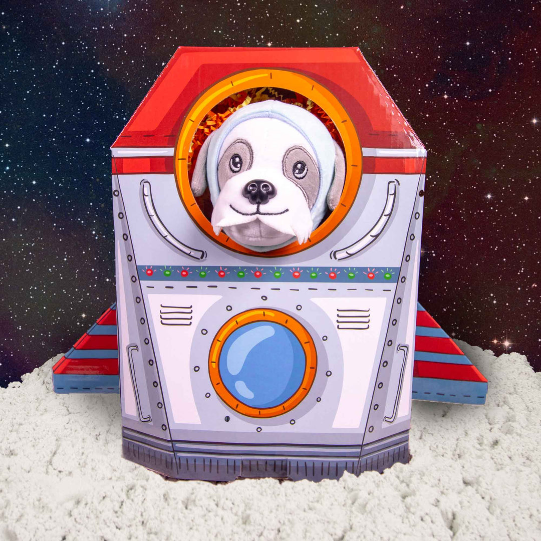 Super Skory Space Box and Science Kit – The Skorys Apparel